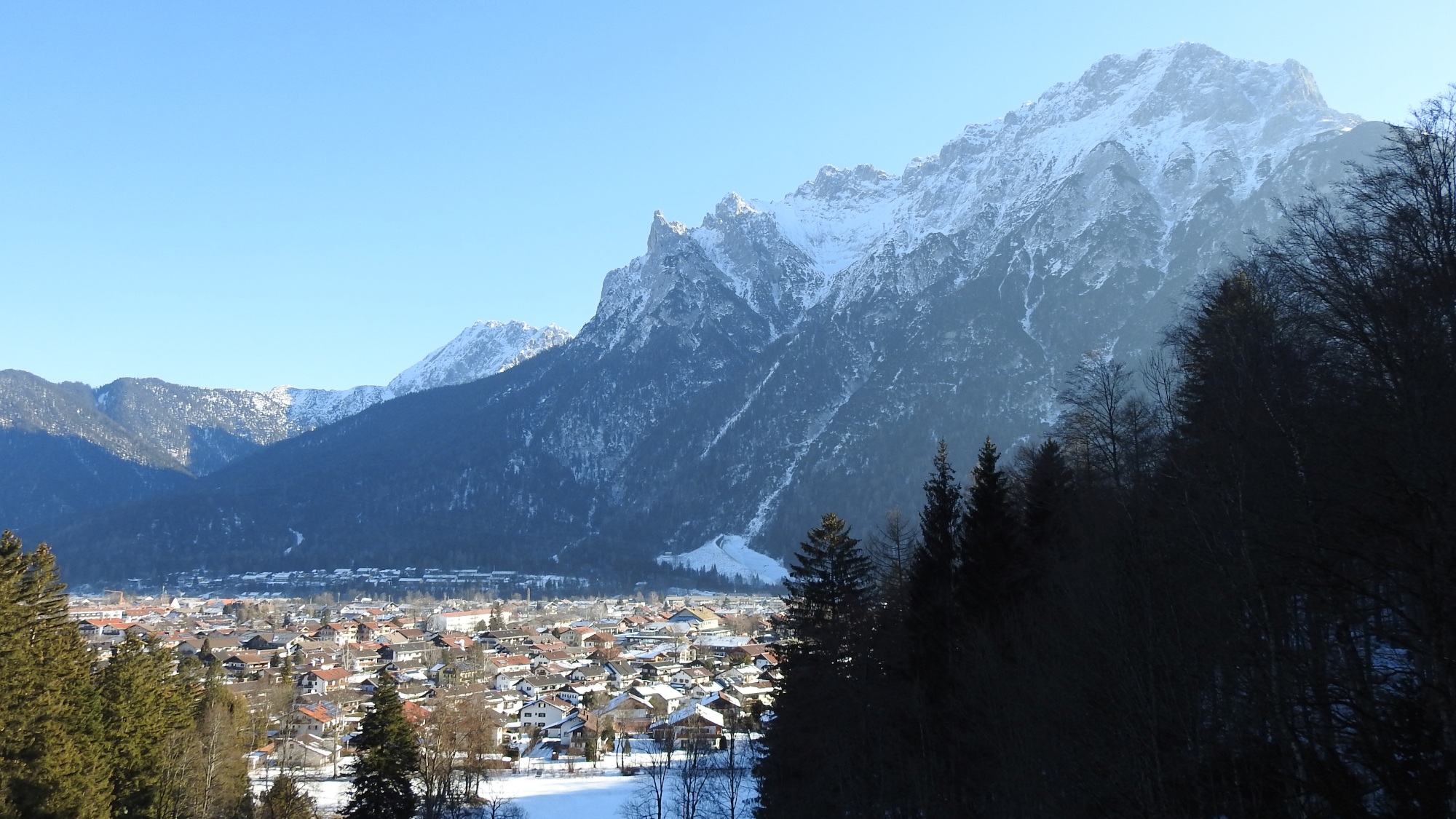Mittenwald vogelreich, mitten im Winter : Orniwelt