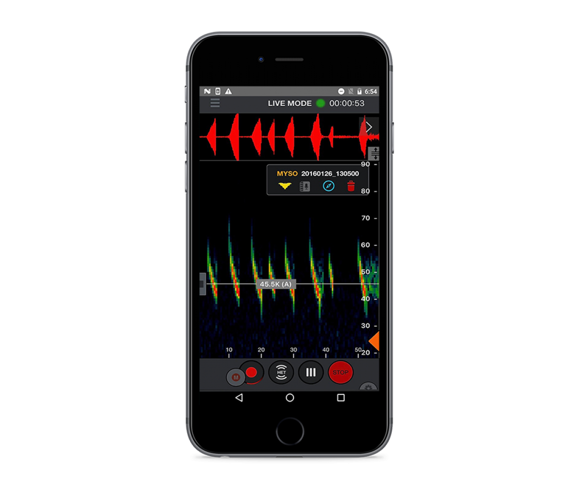 Fledermausdetektor, Echo Meter Touch 2 PRO bei ORNIWELT