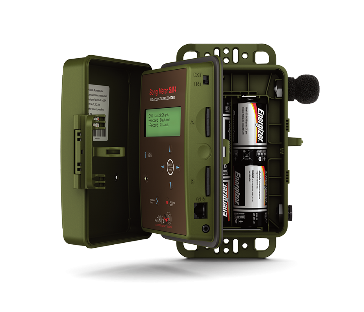NocMig, Tierstimmen-Rekorder Song Meter SM4 bei ORNIWELT