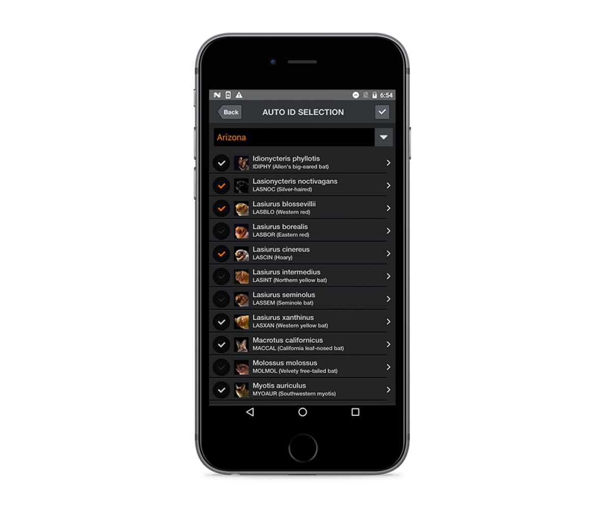 Fledermausdetektor, Echo Meter Touch 2 PRO bei ORNIWELT