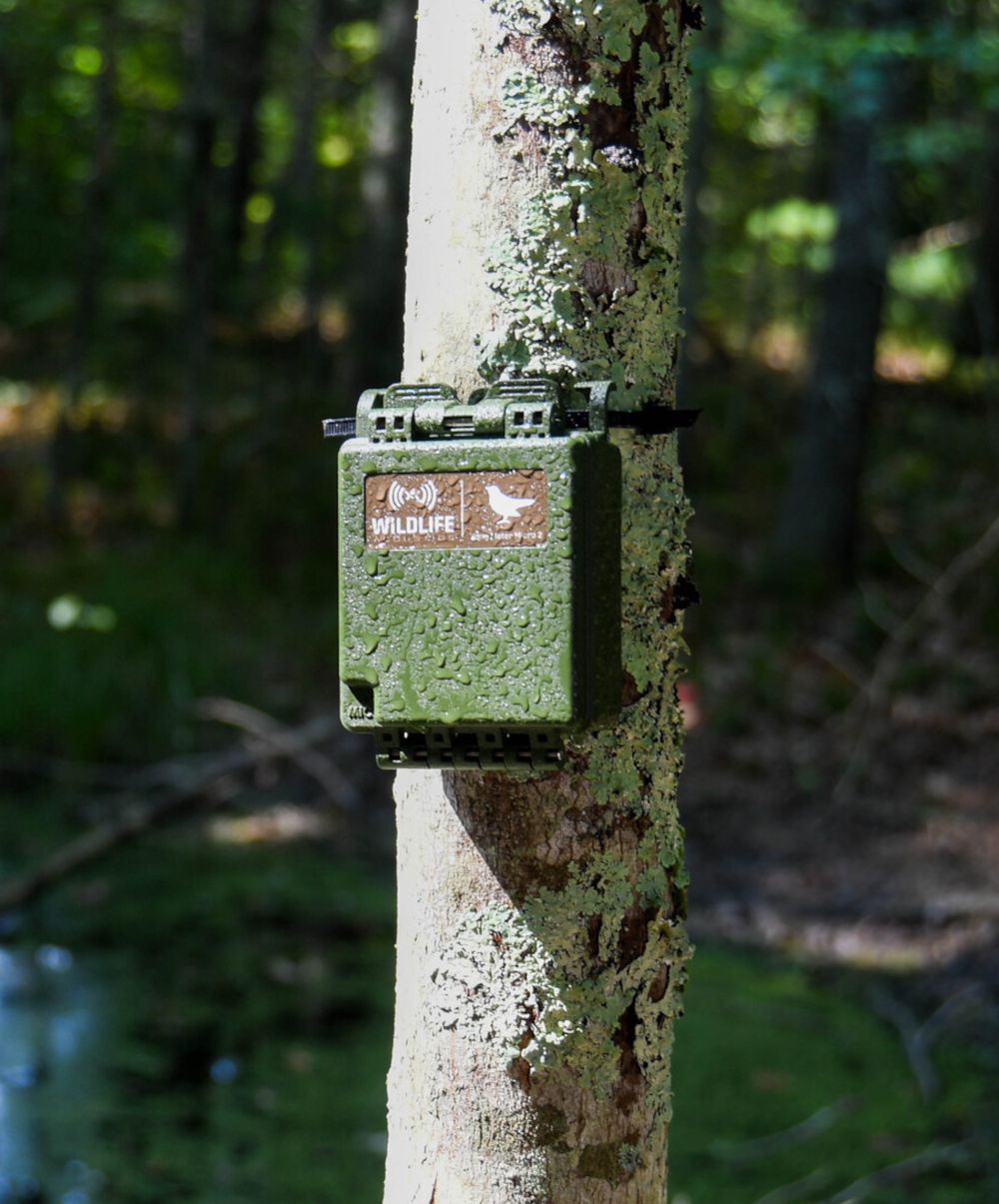 Wildlife Acoustics Song Meter Micro 2, kaufen bei ORNIWELT